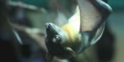 University Of Cambridge News, Articles | Lab Manager