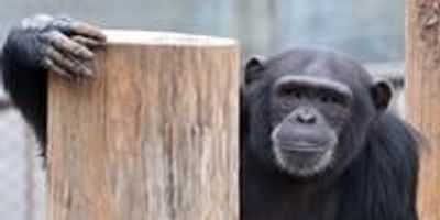 Emory University News, Articles | Lab Manager