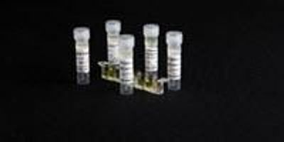 Measles News, Articles | Lab Manager