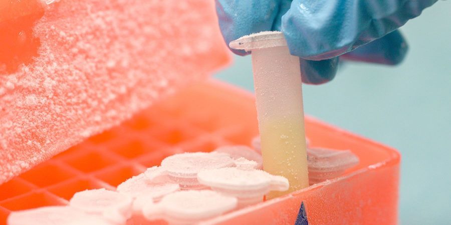 Magazine Issue - March 2020 | Optimizing Lab Spaces | Lab Manager