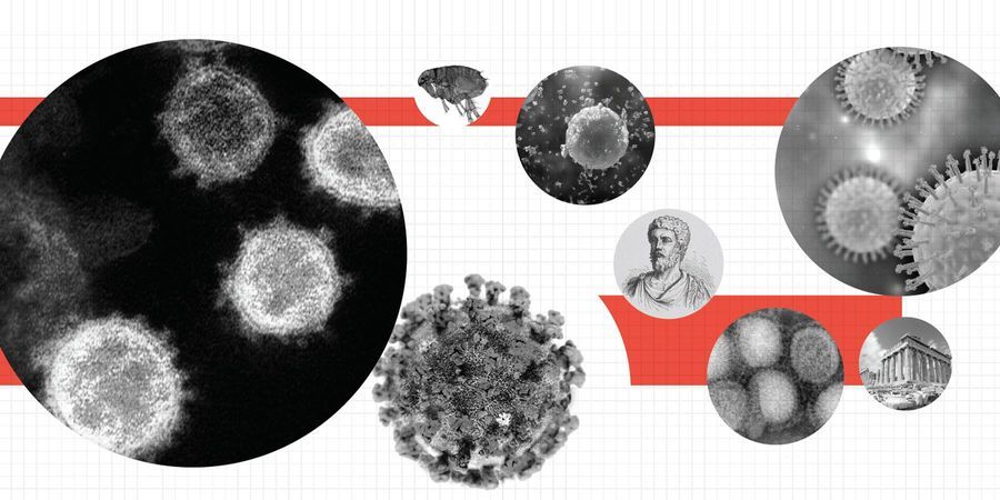 Magazine Issue - June 2020 | Embracing the Lab of the Future...Today ...