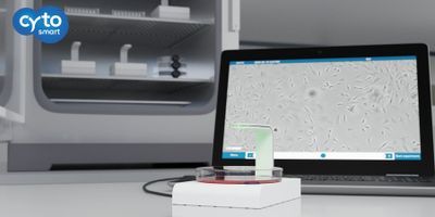 Live Cell Imaging News, Articles | Lab Manager