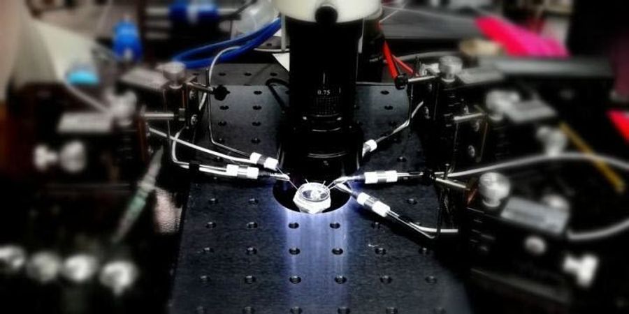 Christian Doppler Laboratory for Solid-State Batteries Launched | Lab ...