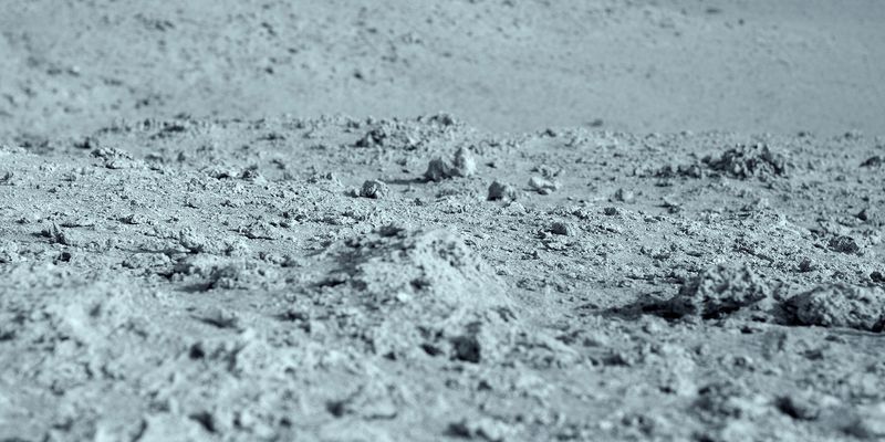 Scientists Grow Plants in Soil from the Moon | Lab Manager