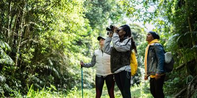 Citizen Scientists News, Articles | Lab Manager