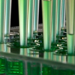 Setting up a High-Throughput Screening Laboratory | Lab Manager