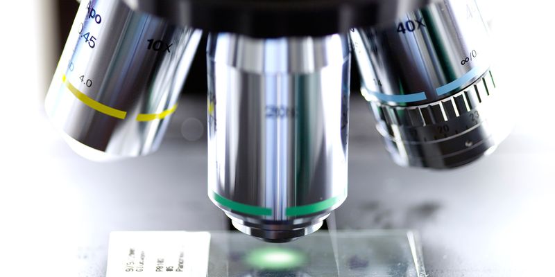 New Expansion Microscopy Methods Magnify Research’s Impact | Lab Manager