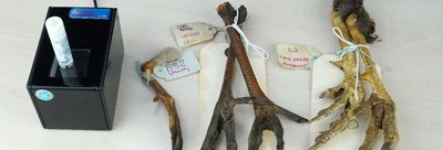 Sample Management News, Articles | Lab Manager