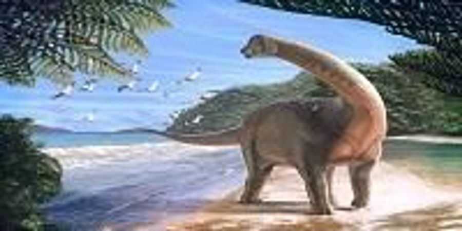 New Egyptian Dinosaur Reveals Ancient Link Between Africa and Europe ...