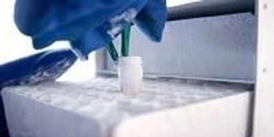 Tissue Preservation News, Articles | Lab Manager