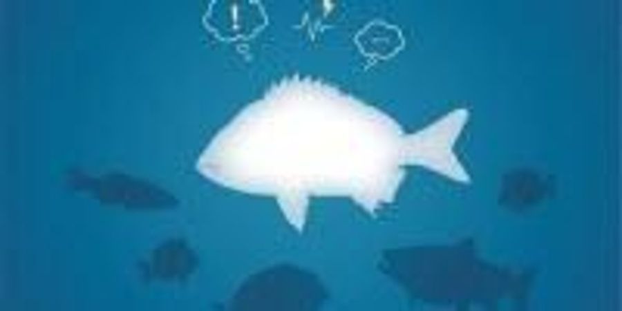 Emotional States Discovered in Fish | Lab Manager