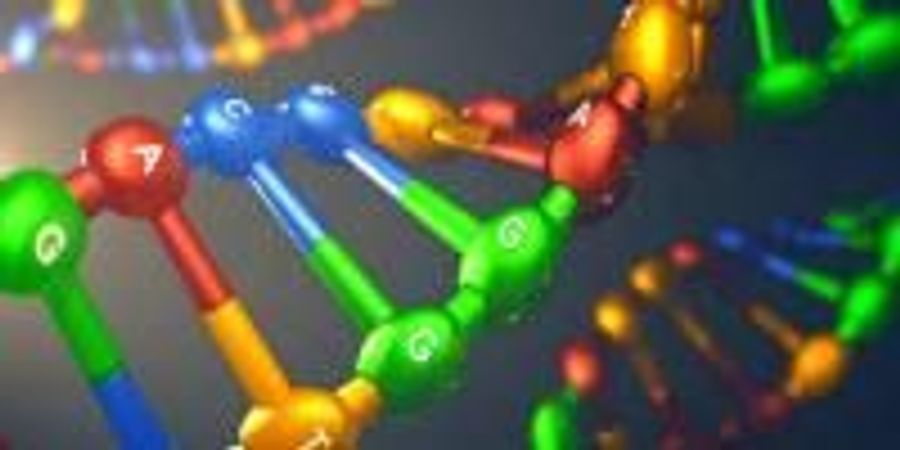 Shape and Size of DNA Lesions Caused by Toxic Agents Affects Repair of ...