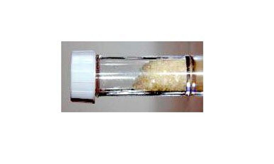 7 Tips for Suspending BSA in Solution | Lab Manager