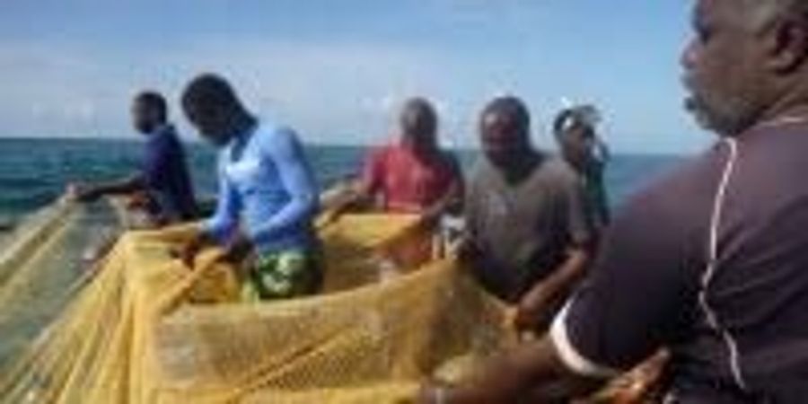 Code of Conduct Needed for Ocean Conservation, Study Says | Lab Manager