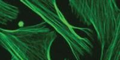 James Joubert Author Profile | Lab Manager